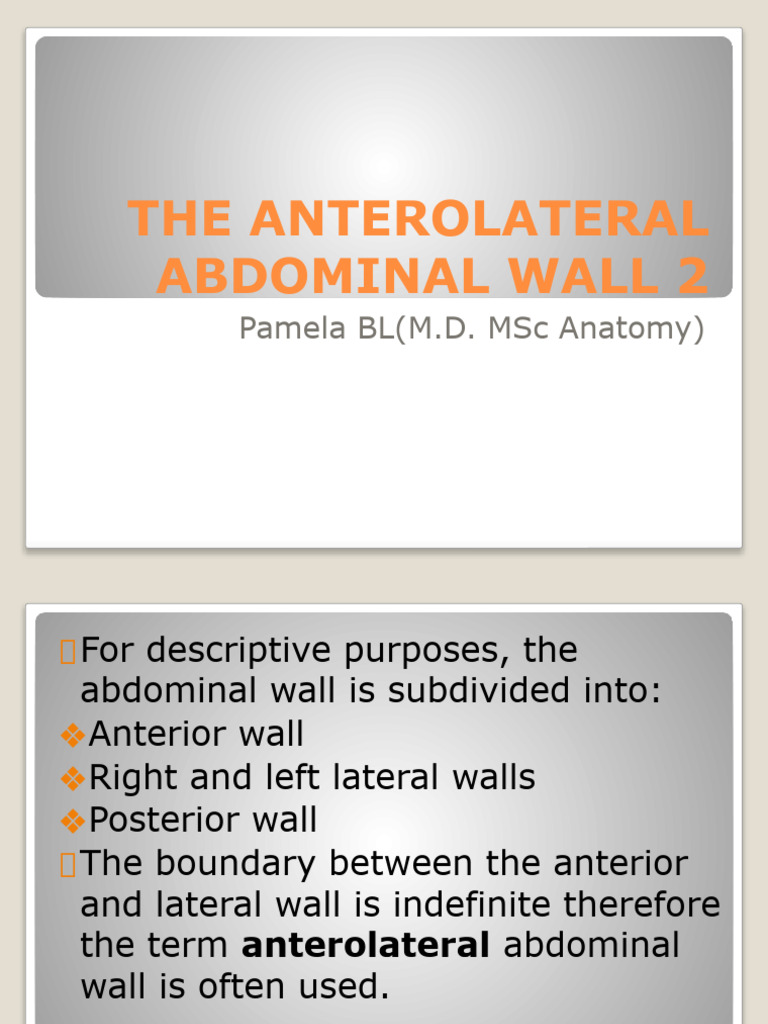 The Anterolateral Abdominal Wall 2 | PDF | Abdomen | Soft Tissue