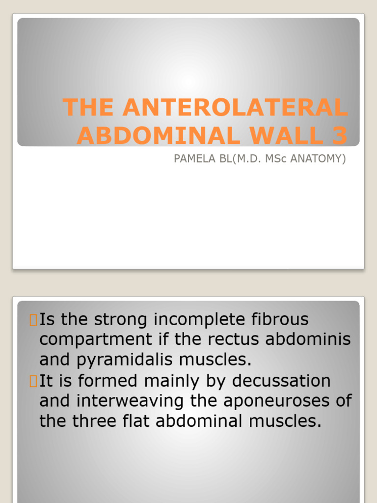 The Anterolateral Abdominal Wall 3 | PDF | Abdomen | Peritoneum