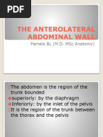 Abdominal Surface Landmarks Guide | PDF | Abdomen | Pelvis
