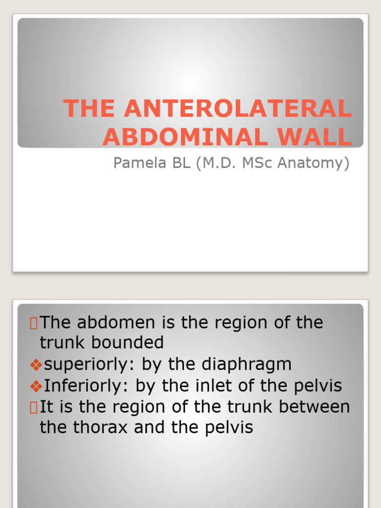 Anterolateral Abdominal Wall Anatomy | PDF | Abdomen | Pelvis
