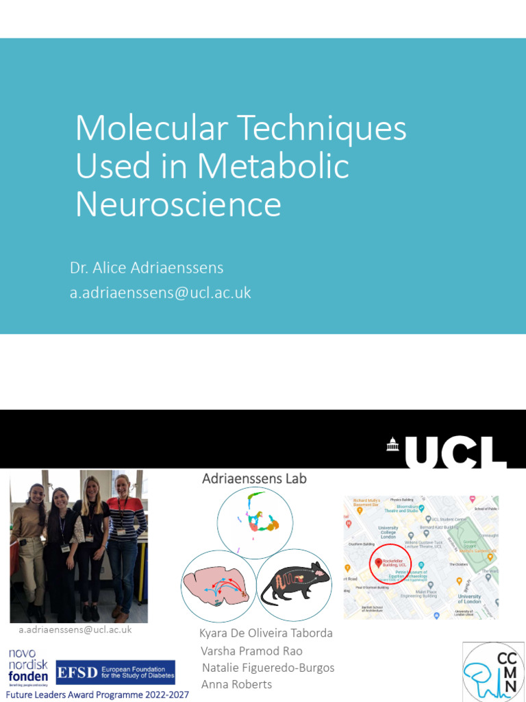 Molecular Techniques Used in Metabolic Neuroscience | PDF | Life ...