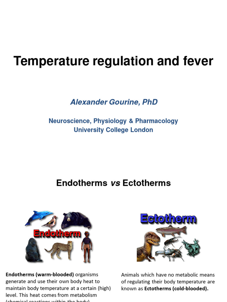 7. Thermoregulation | PDF | Heat Transfer | Thermoregulation