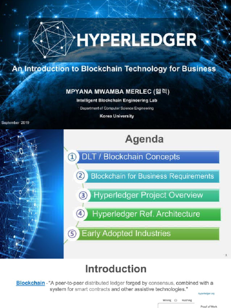 Hyper Ledger | PDF