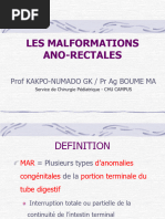 Malformations Ano-Rectales : Définition, Types et Diagnostic | PDF | Rectum | Gastroentérologie
