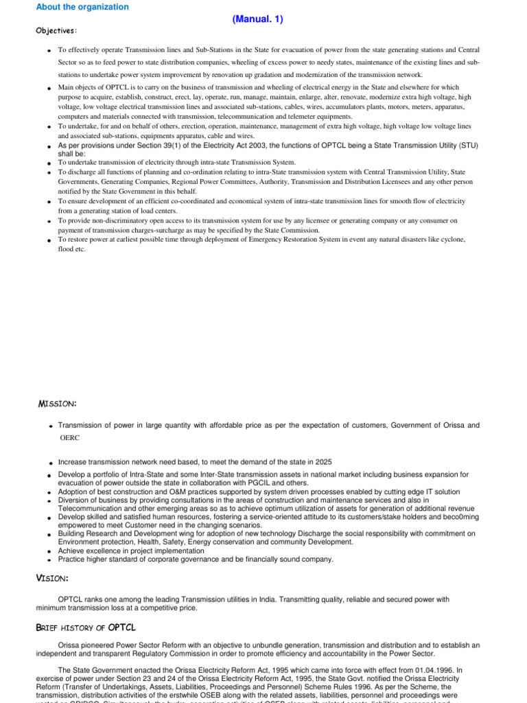 Manual 1 About The Organization | PDF