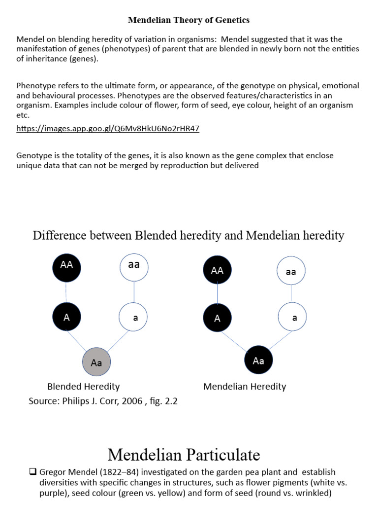 Basic Terms in Genetics - 022246 2 | PDF | Dominance (Genetics) | Heredity