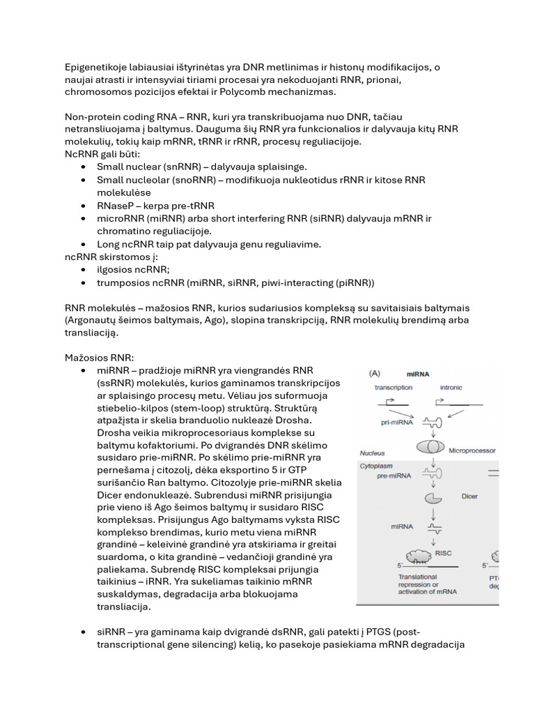 molekulinė biologija II kolis | PDF