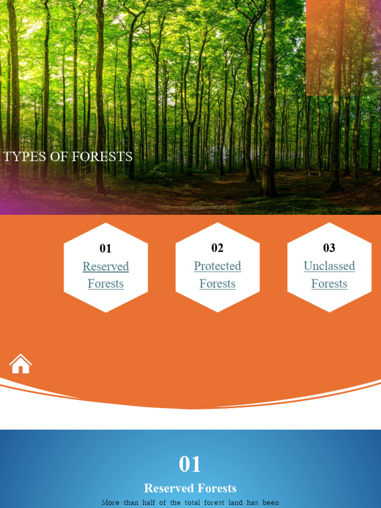 Types of Forests | PDF | Forests | Logging
