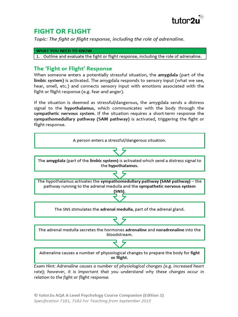 Fight or Flight Response Explained | PDF | Fight Or Flight Response ...