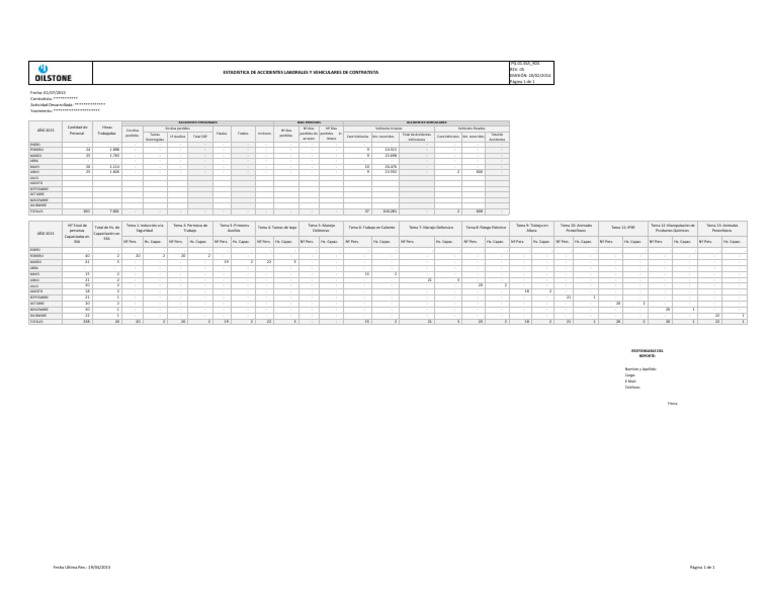 PG.01.SSA - R04 Planilla de Estadistica A Modo de Ejemplo. | PDF