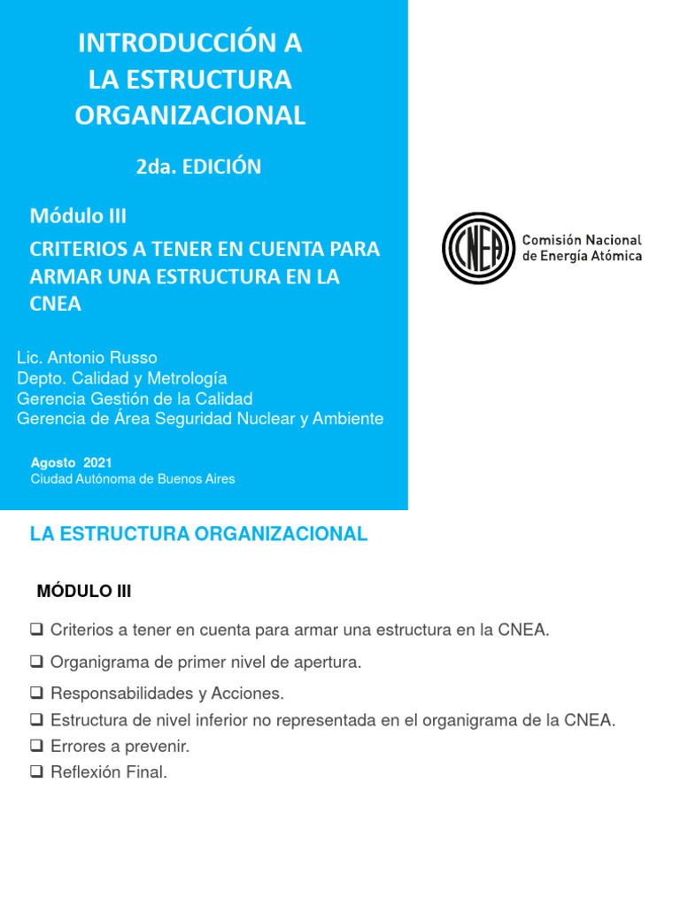 Estructura Organizacional en la CNEA | PDF | Gestión de la calidad ...
