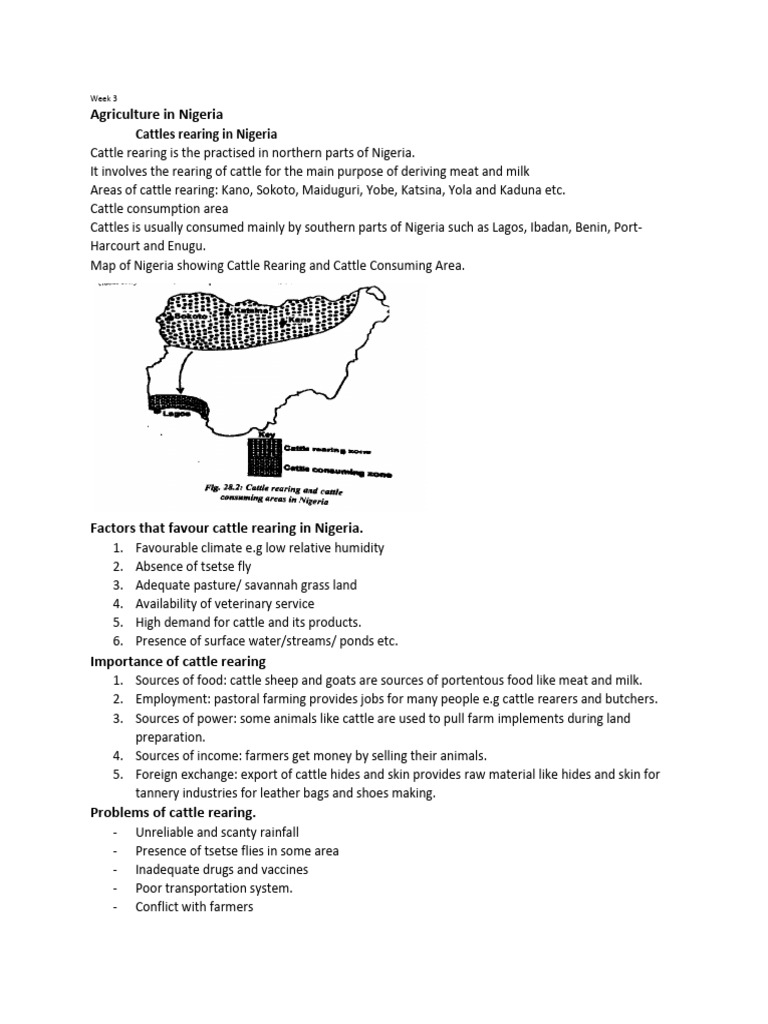 8464 Week 3 Ss3 Second Term Pdf Cattle Nigeria