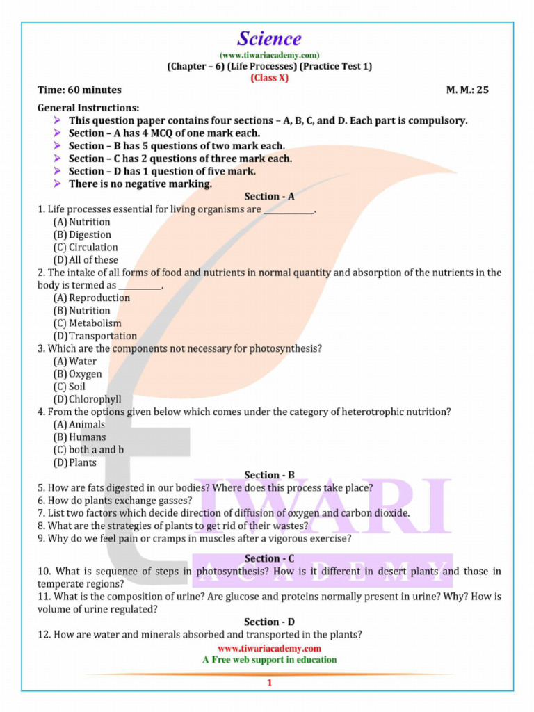 10 Science Chapter 6 Practice Test 1 Pdf