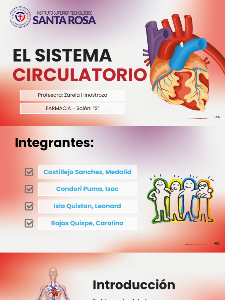 Sistema Circulatorio | PDF | Sistema circulatorio | Corazón