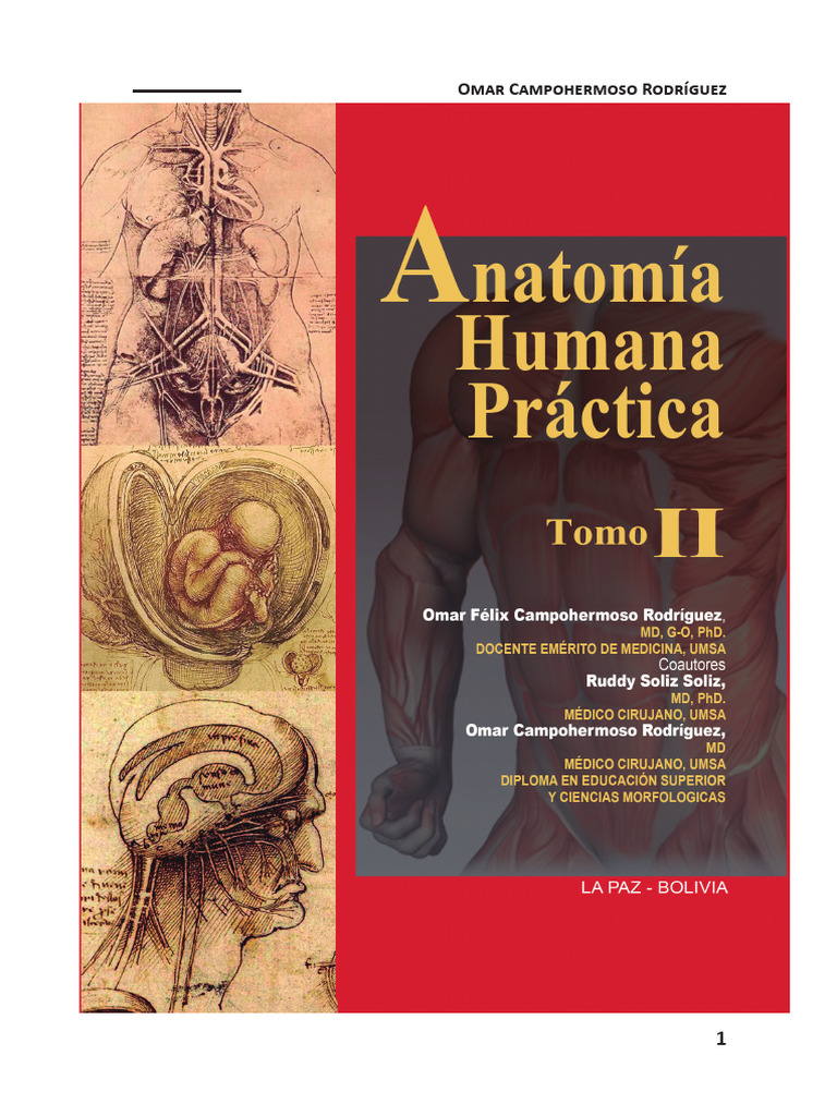 Campohermoso Tomo 2 | PDF | Corazón | Abdomen