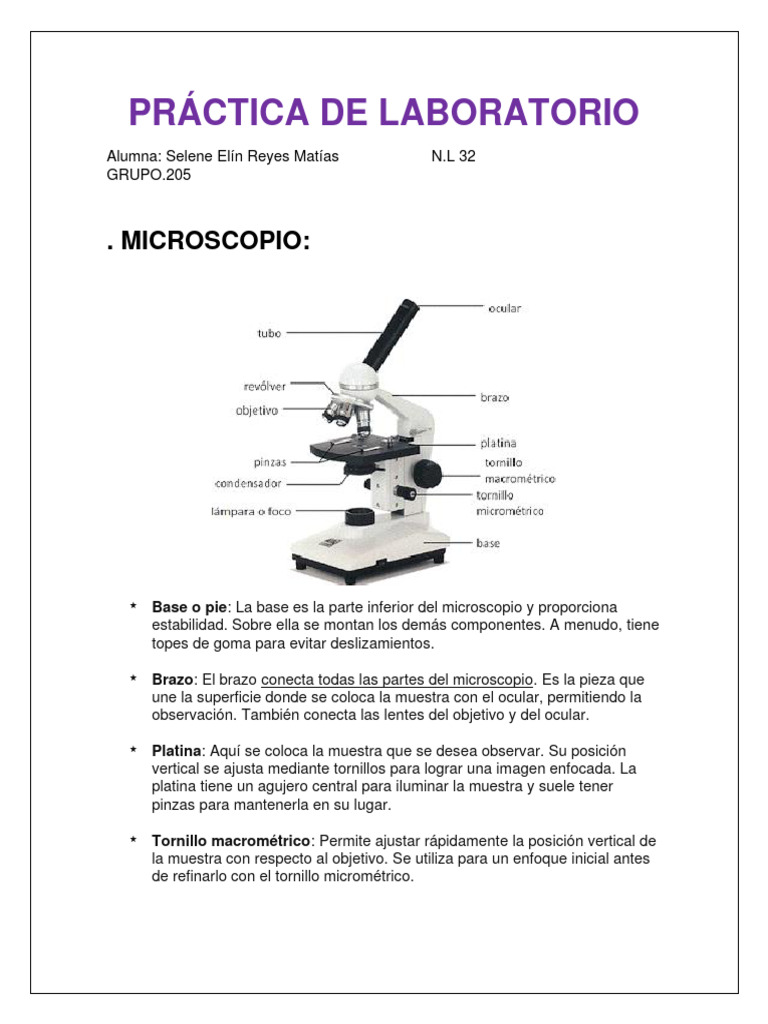 practica de laboratorio(microscopio) | PDF | Biología Celular ...