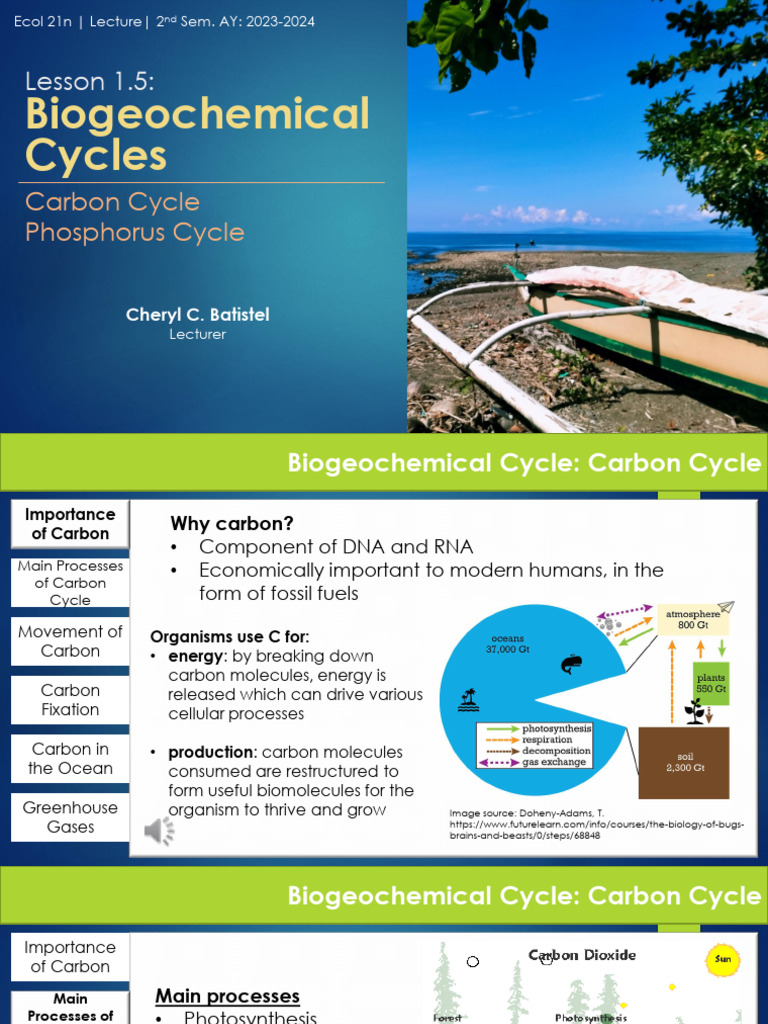 Lesson 1.5 - 2biogeochemical Cycles - Carbon and Phosphorus | PDF ...