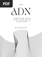 Elaboración Casera de Una Maqueta de Adn | PDF | Adn | Base par