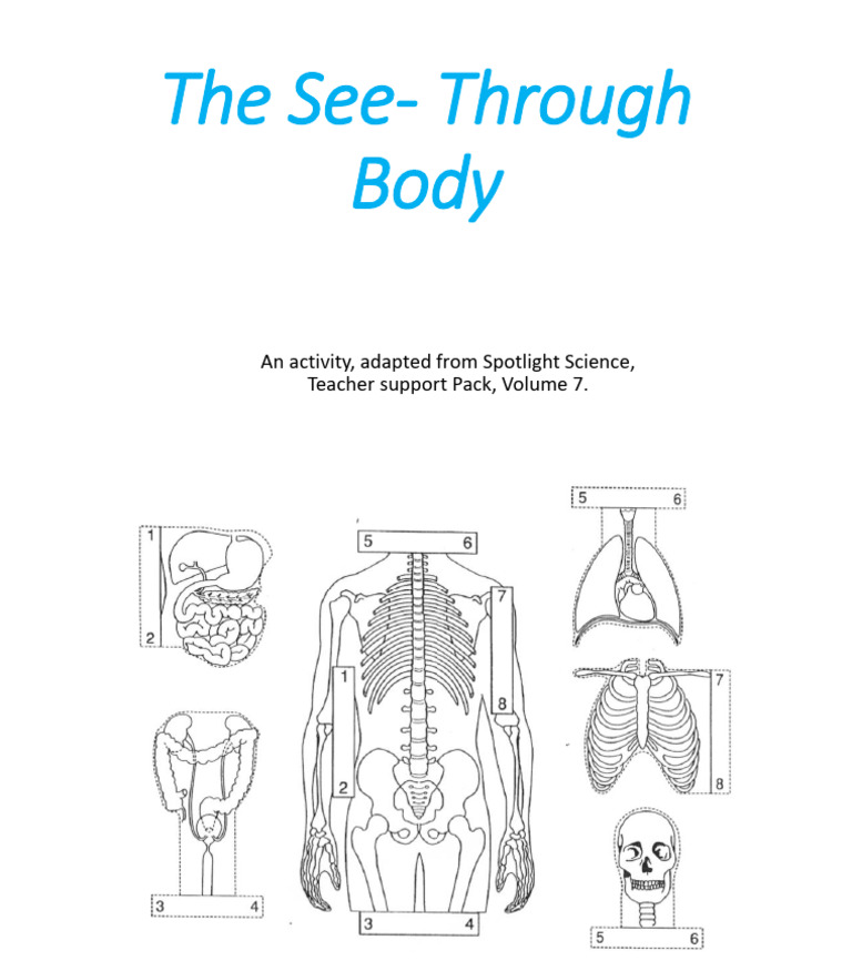 The See Through Body | PDF | Science & Mathematics