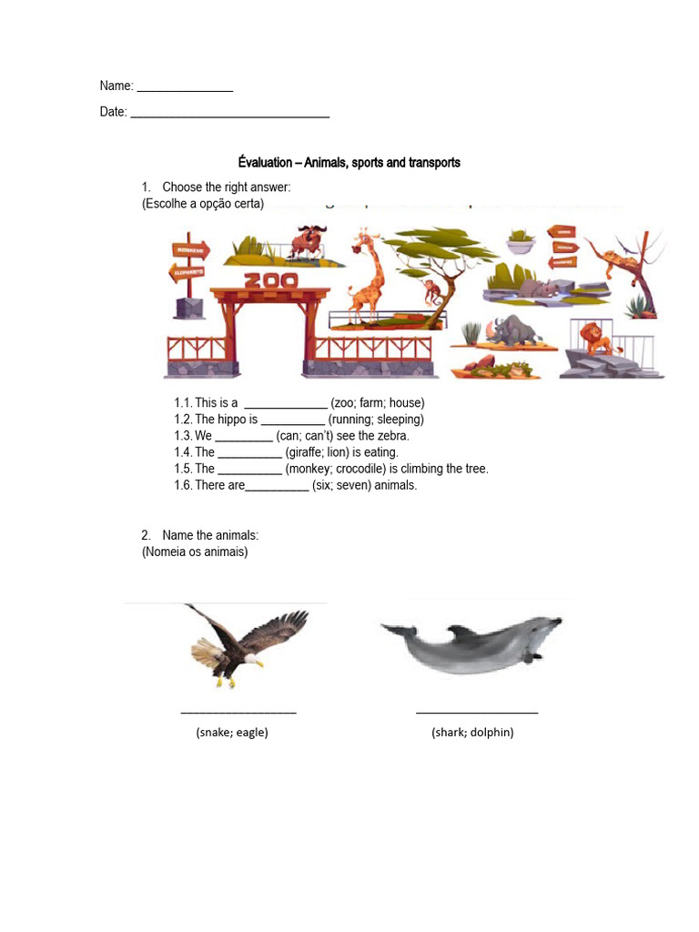 Évaluation - Animals, Sports and Transports | PDF