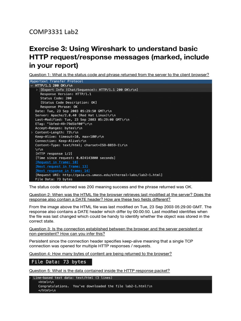 COMP3331 Lab2 | PDF | Networking | Internet & Web