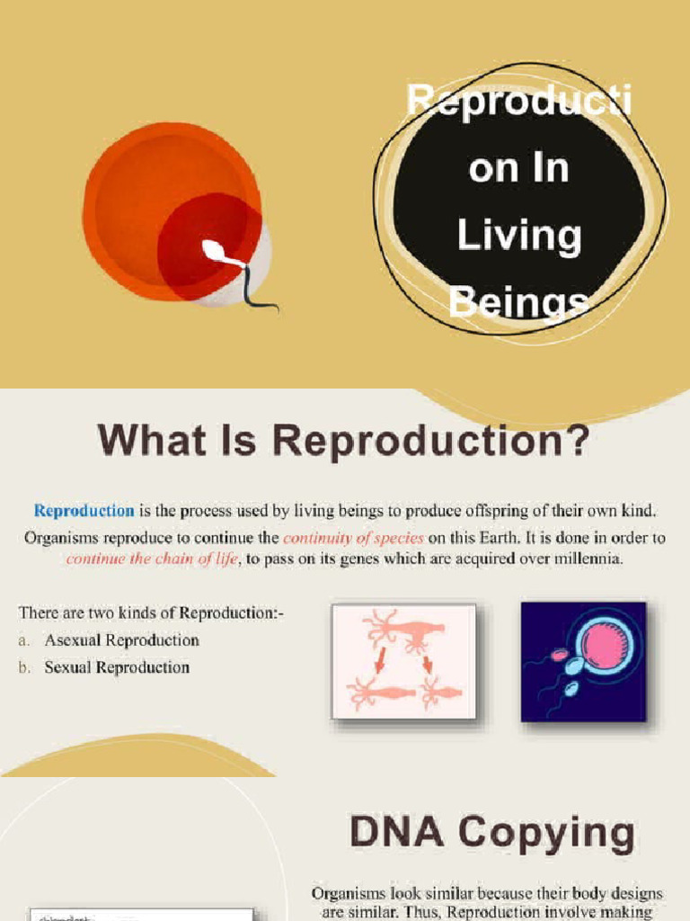 NehaRohtagi1 Reproduction in Living Beings Class 10th | PDF