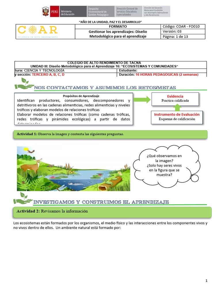 Ecosistemas y Comunidades: Guía Educativa | PDF | Red alimentaria | Ecosistema