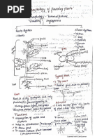 Class 12 Biology Practical File | PDF