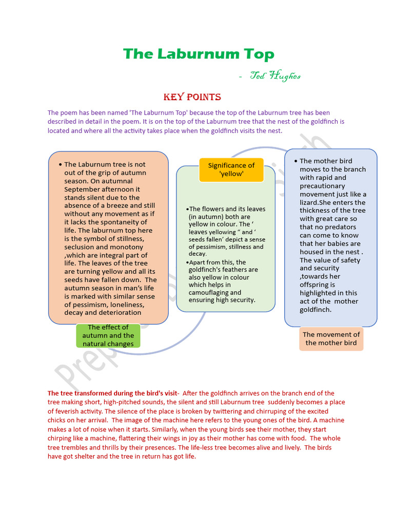 The Laburnum Top: Themes and Analysis | PDF | Birds