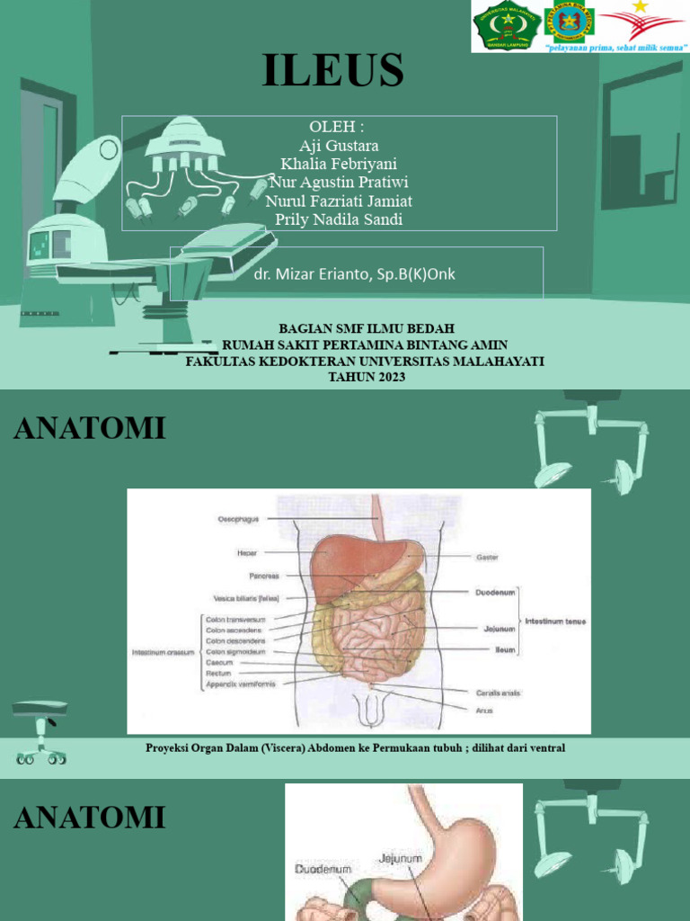 Ileus | PDF | Pengembangan Diri | Kesehatan Holistik