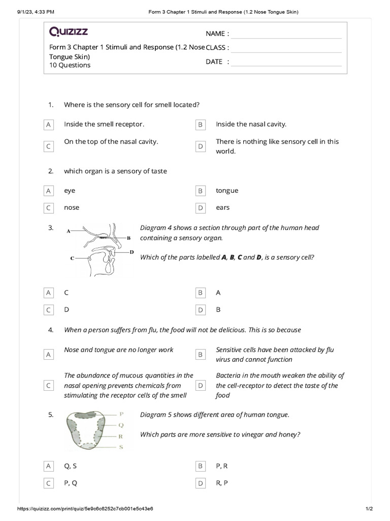 Form 3 Chapter 1 Stimuli and Response (1.2 Nose Tongue Skin) | PDF ...