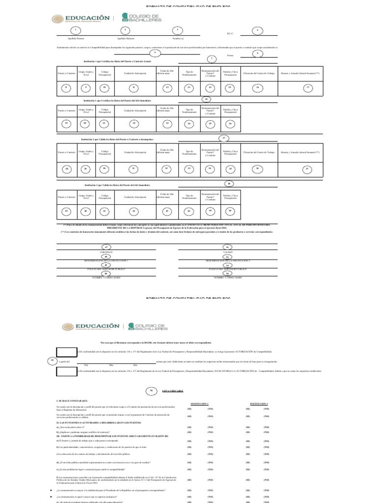 Guia Formato Compatibilidad de Empleos 2024 002 | PDF