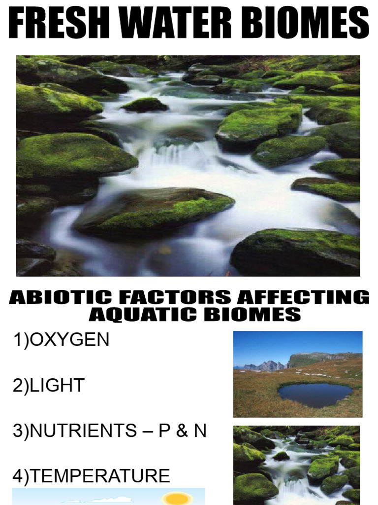 1e - Aquatic Biomes - Fresh Waters | PDF | Lake | Water