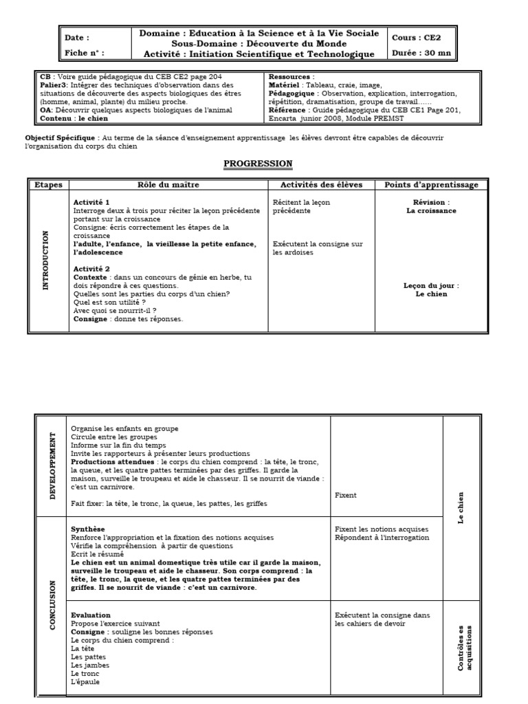 Découverte du chien en CE2 | PDF | Pédagogie | Chiens