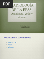 Proyecciones de Codo | PDF | Codo | Mano