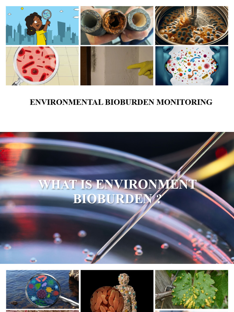 Microbiological Environment Monitoring | PDF