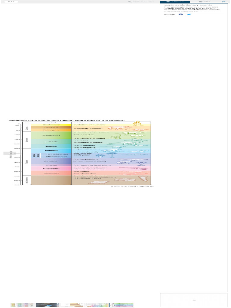 Geologic Time Periods, Time Scale, & Facts Britannica | PDF | Geologic ...