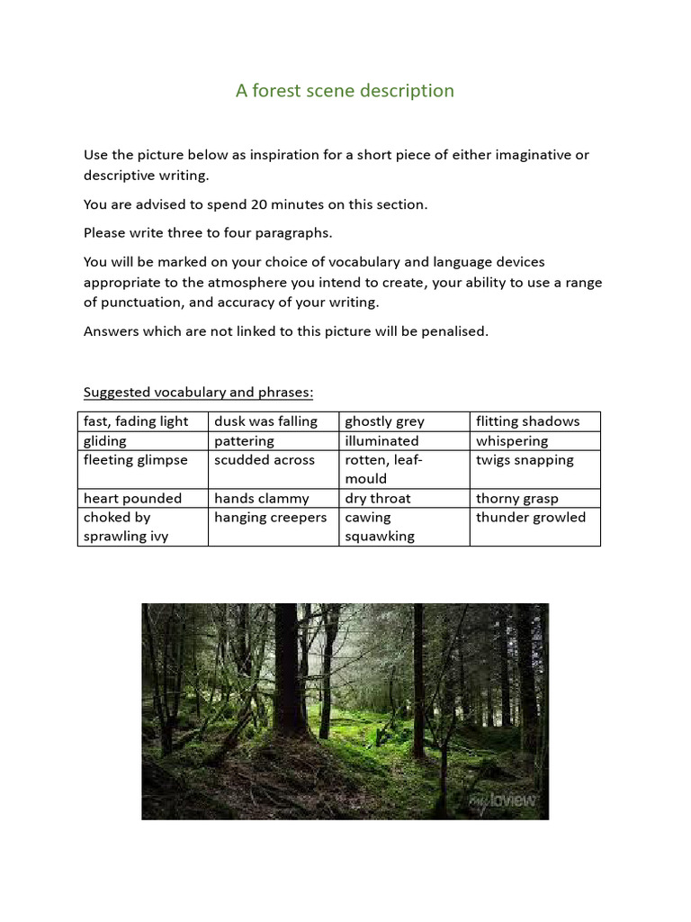 A forest scene | PDF | Earth Sciences
