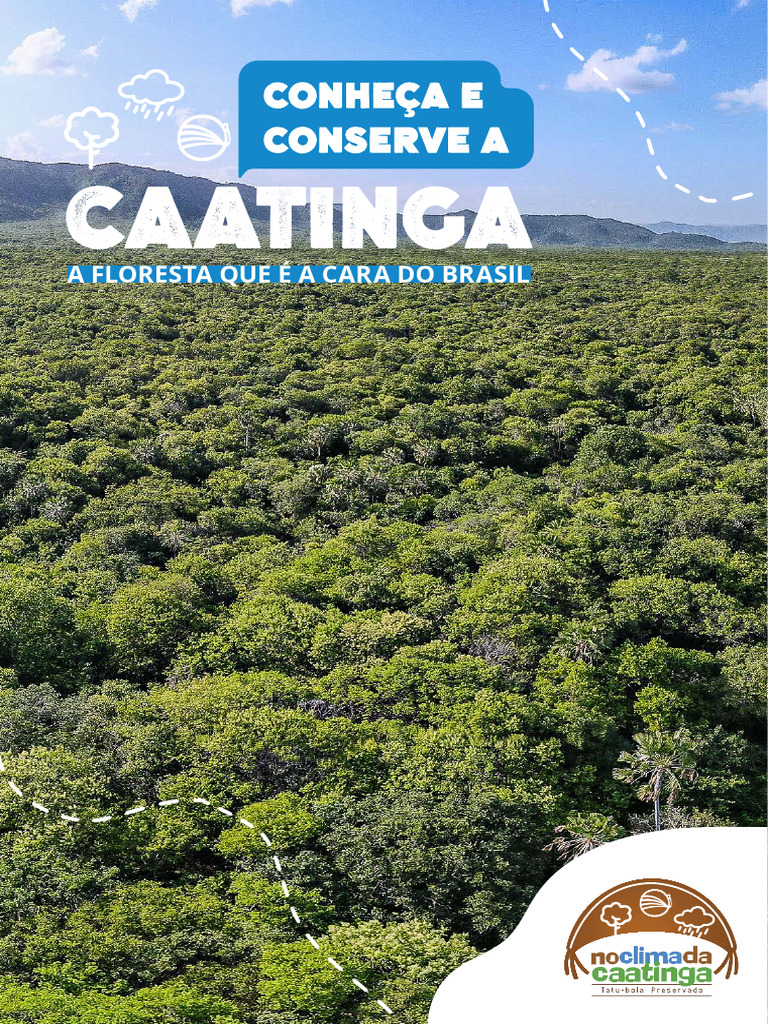 Livro Conheca e Conserve a Caatinga No Clima Da Caatinga Primeiras ...