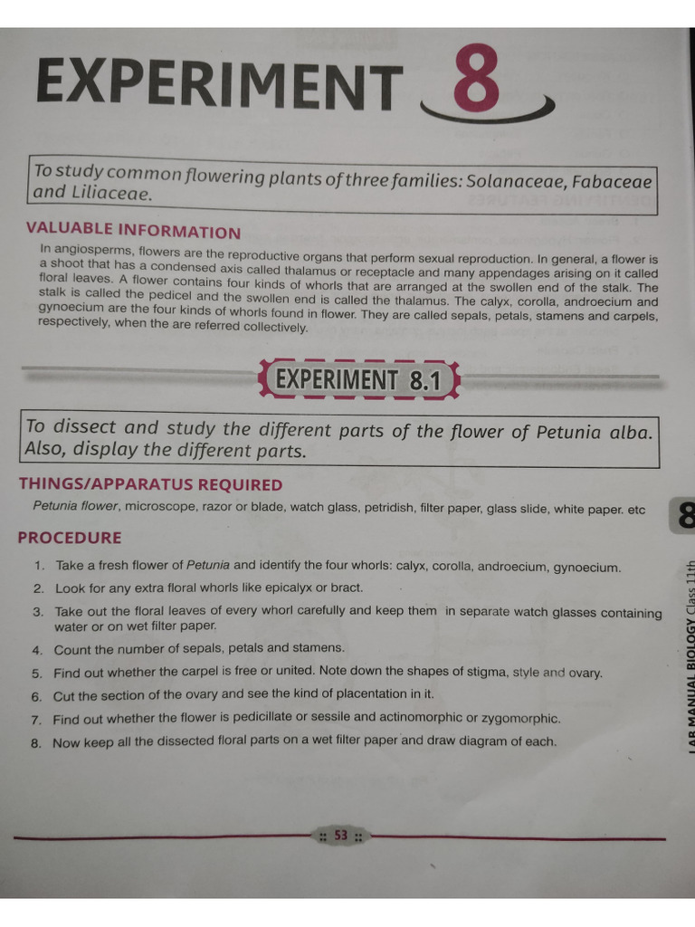 Experiment 8.1 | PDF