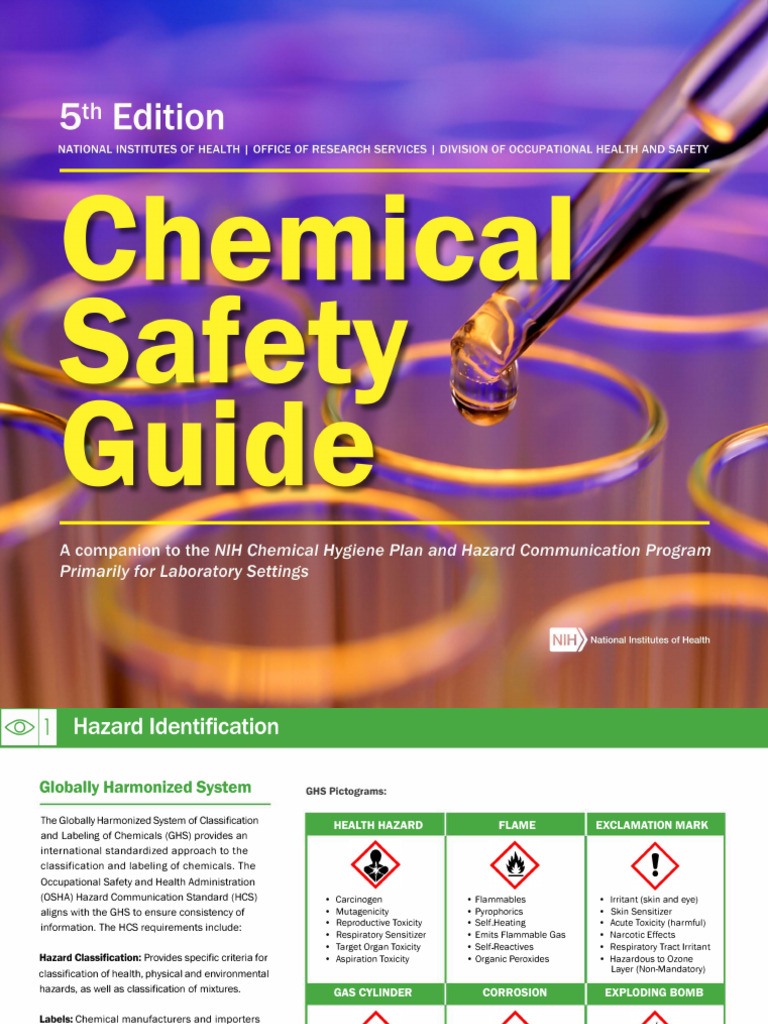 Chemical Safety Guide | PDF | Occupational Safety And Health | Safety