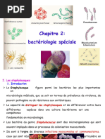 Interprétation et Réalisation de l'Antibiogramme | PDF | Antibiotiques ...
