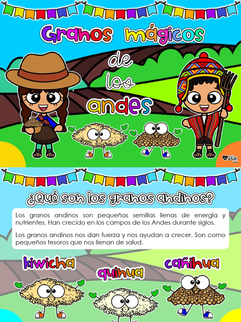 Recursos UD8 S2_Granos Andinos | PDF | Cereales | Quinua