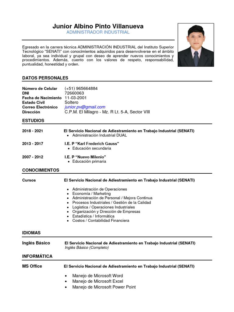 CURRICULUM VITAE (CV) - Junior Albino Pinto Villanueva | PDF | Contabilidad | Business