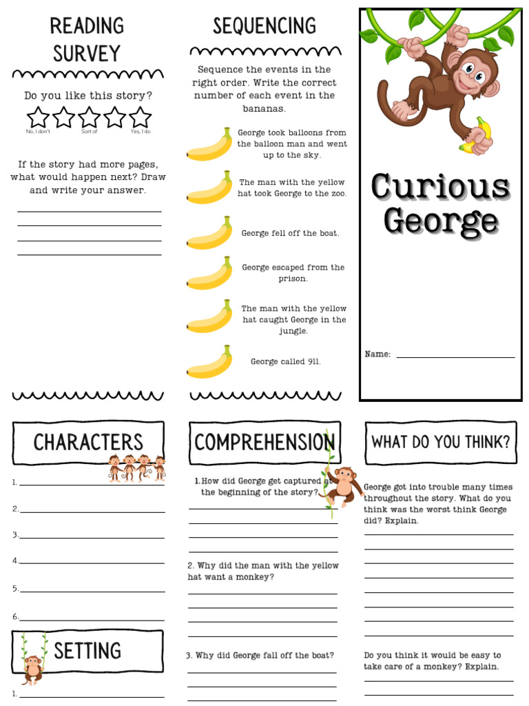 George Story Comprehension Survey | PDF