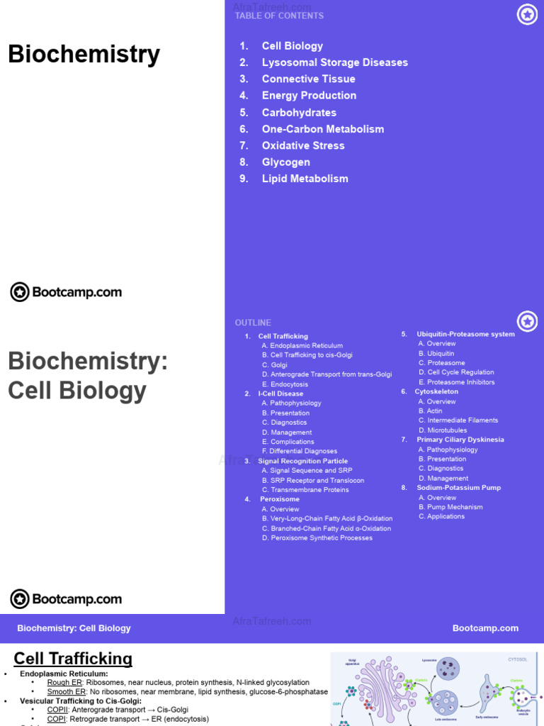 Biochemistry | PDF | Proteasome | Protein Targeting