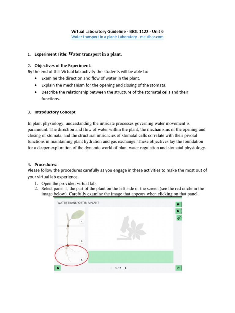 Virtual Lab: Water Transport in Plants | PDF | Stoma | Biology