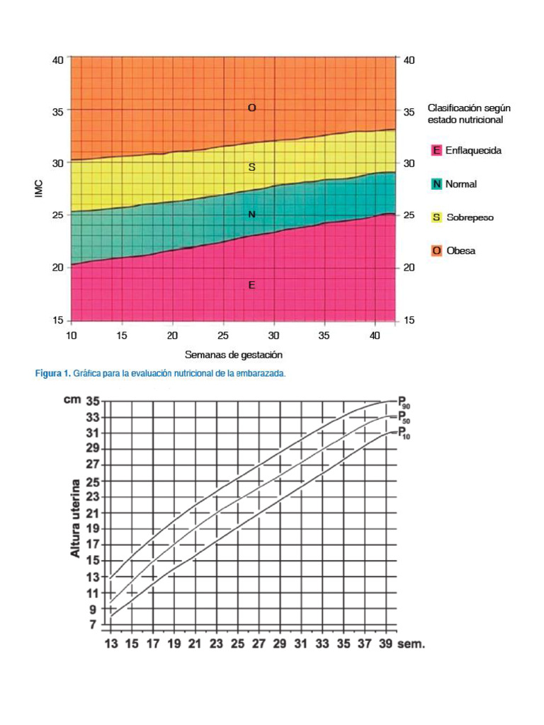 Imc Embarazadas | PDF