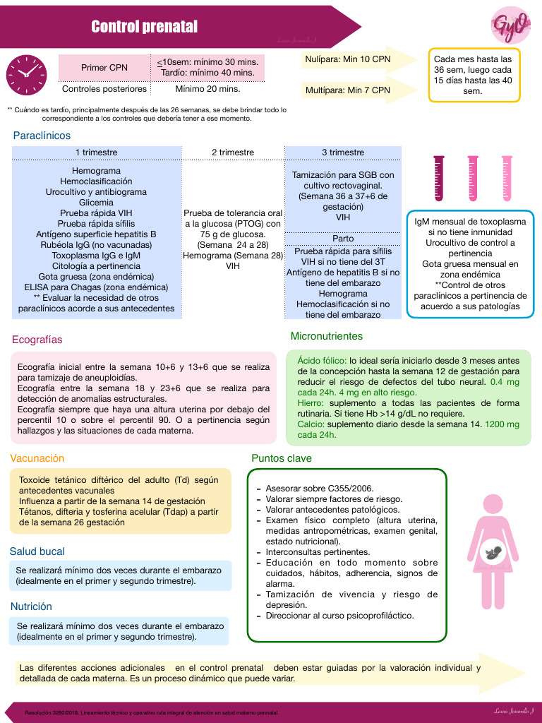 Control prenatal y paraclínicos esenciales | PDF | El embarazo ...