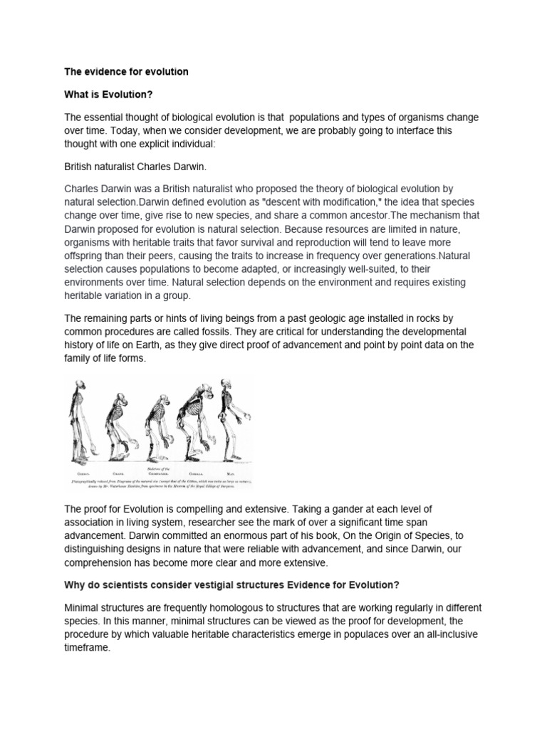 Evidence and Mechanisms of Evolution | PDF | Evolution | Natural Selection